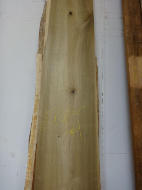 Poplar Slab #1 | Tropical Exotic Hardwoods