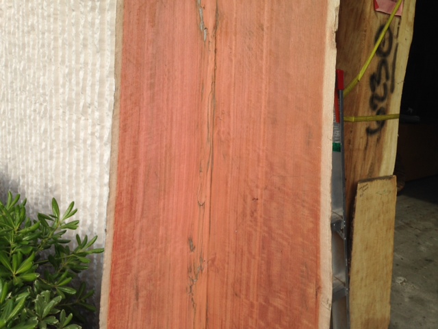 Red Gum Slab #1 (curly) | Tropical Exotic Hardwoods