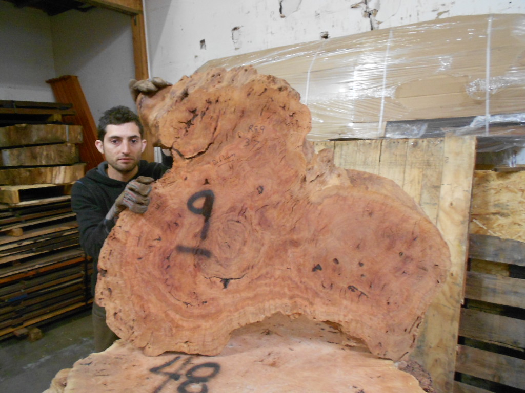 Red Gum Burl #9 | Tropical Exotic Hardwoods