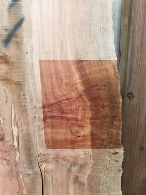 Tasmanian Rose Myrtle Slab #2 Live Edge | Tropical Exotic Hardwoods