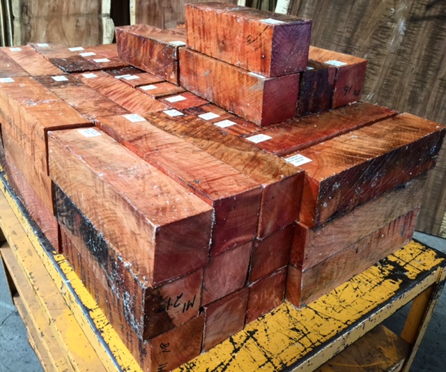Tasmanian Rose Myrtle 4 pcs 3" x 3" 12" Packs | Tropical Exotic Hardwoods