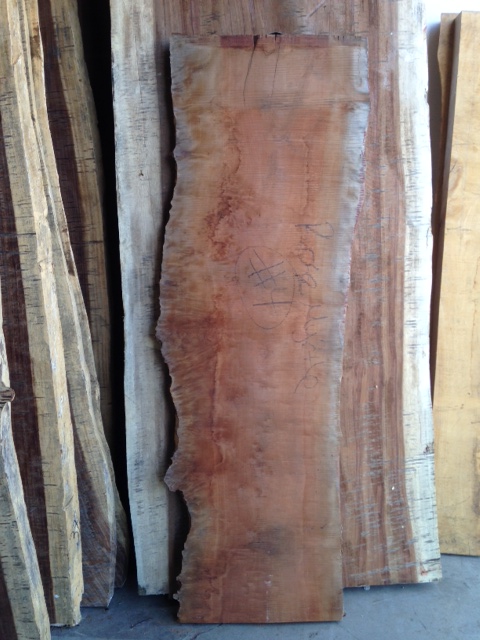Tasmanian Rose Myrtle Slab #4 | Tropical Exotic Hardwoods