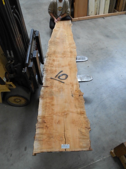 Tasmanian Rose Myrtle Slab #10 | Tropical Exotic Hardwoods