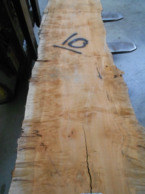 Tasmanian Rose Myrtle Slab #10 | Tropical Exotic Hardwoods