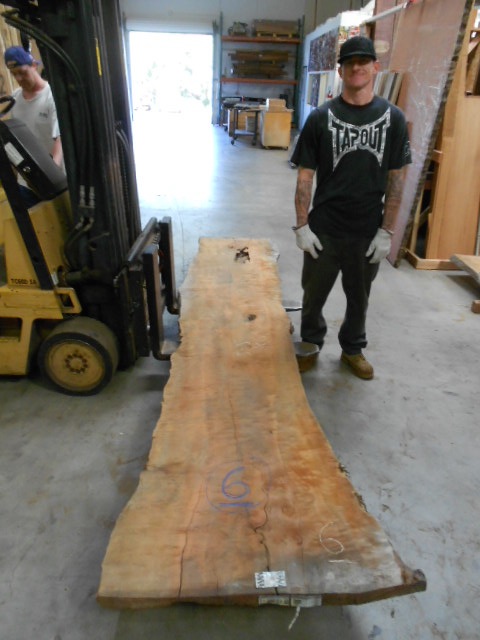 Tasmanian Rose Myrtle Slab #6 | Tropical Exotic Hardwoods