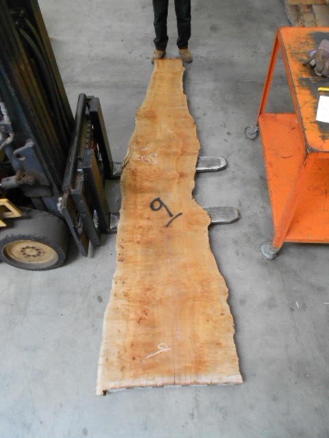 Tasmanian Rose Myrtle Slab #9 Live Edge | Tropical Exotic Hardwoods
