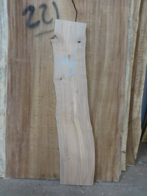 Spalted Alder Slab #30 | Tropical Exotic Hardwoods