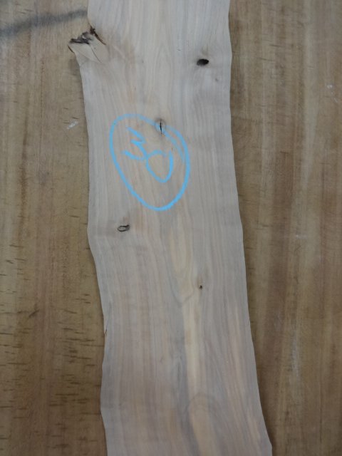 Spalted Alder Slab #30 | Tropical Exotic Hardwoods