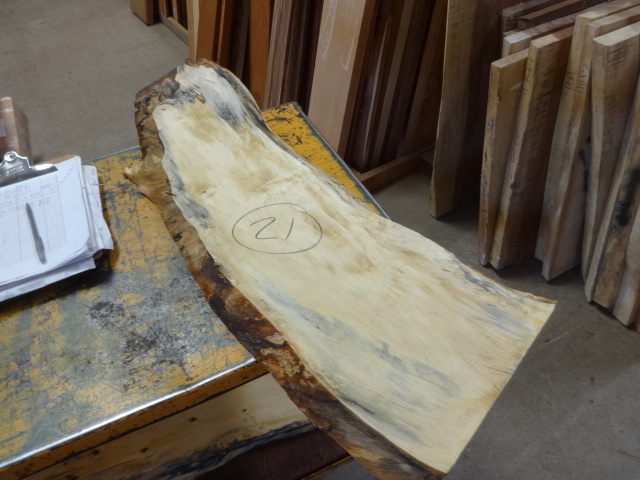 Buckeye Slab #21 | Tropical Exotic Hardwoods