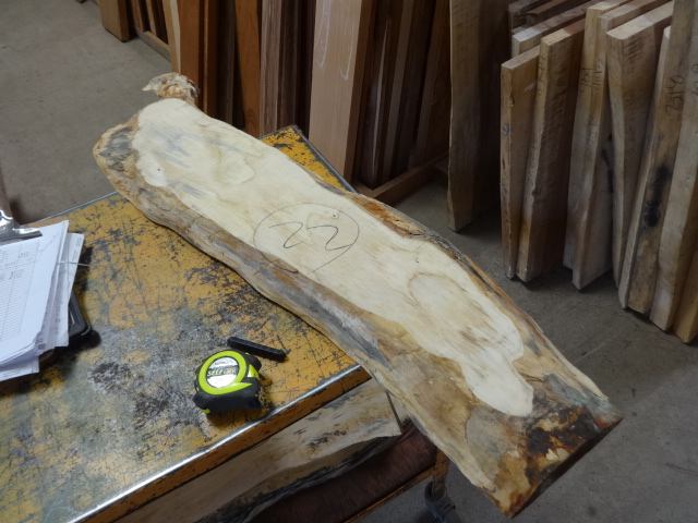 Buckeye Slab #22 | Tropical Exotic Hardwoods