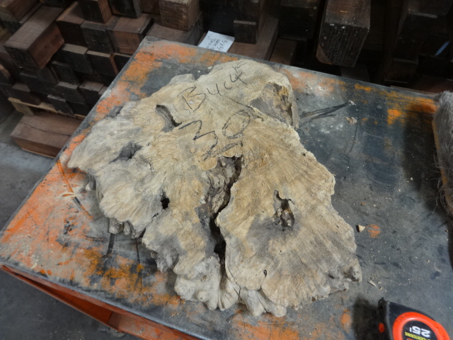 Buckeye Burl #30 | Tropical Exotic Hardwoods