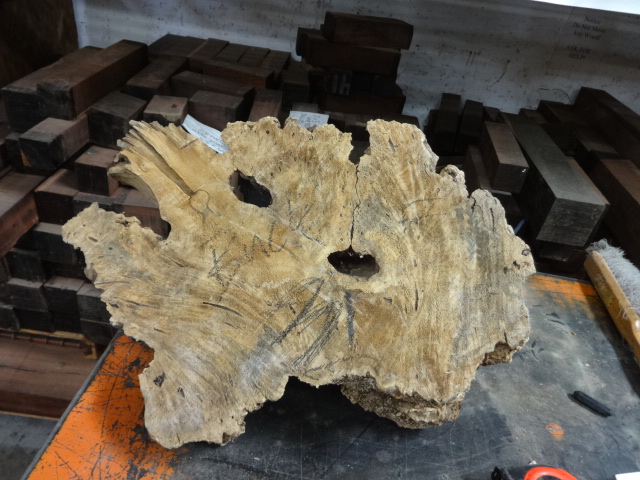 Buckeye Burl #31 Cap | Tropical Exotic Hardwoods
