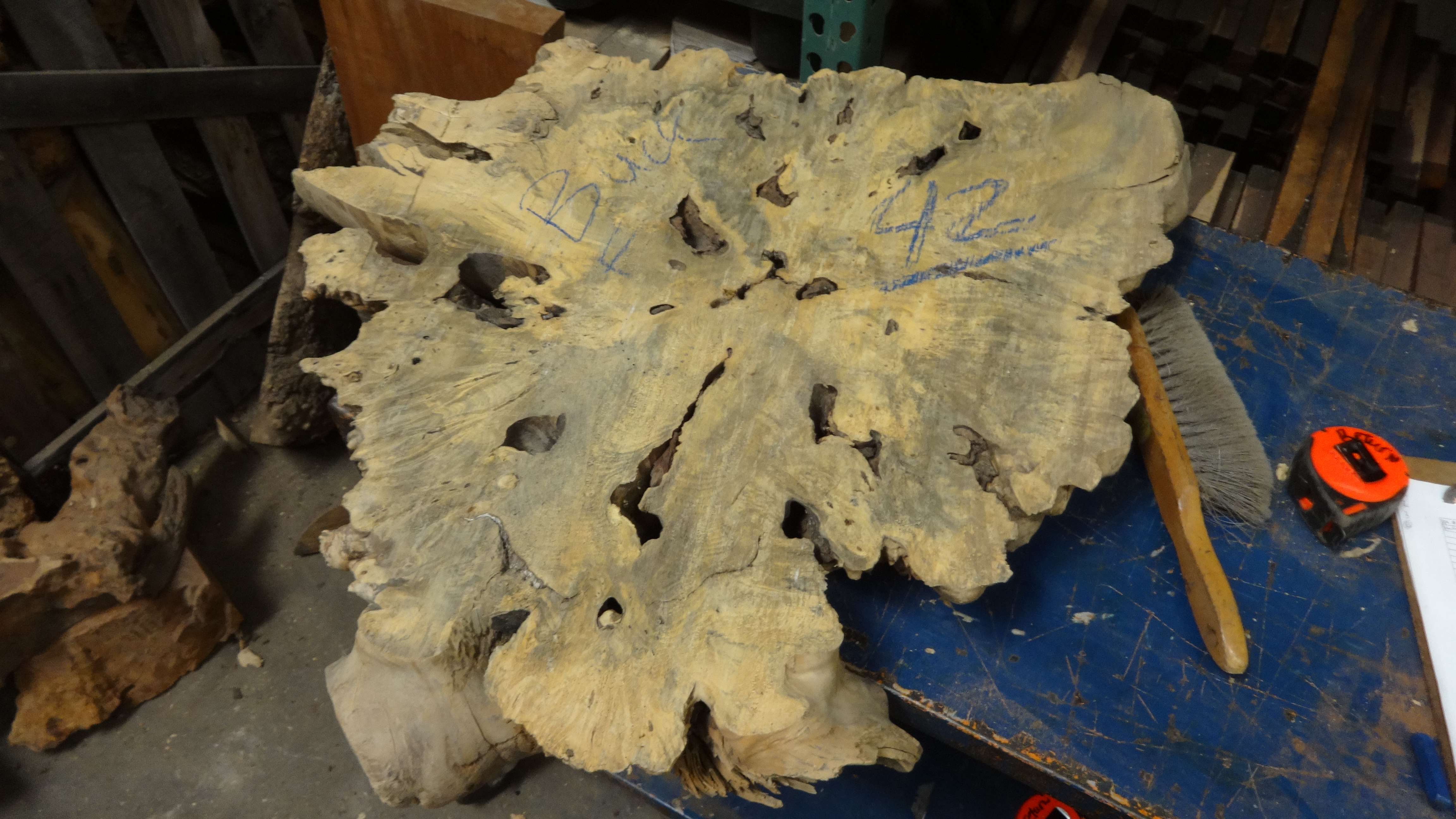 Buckeye Burl #42 | Tropical Exotic Hardwoods