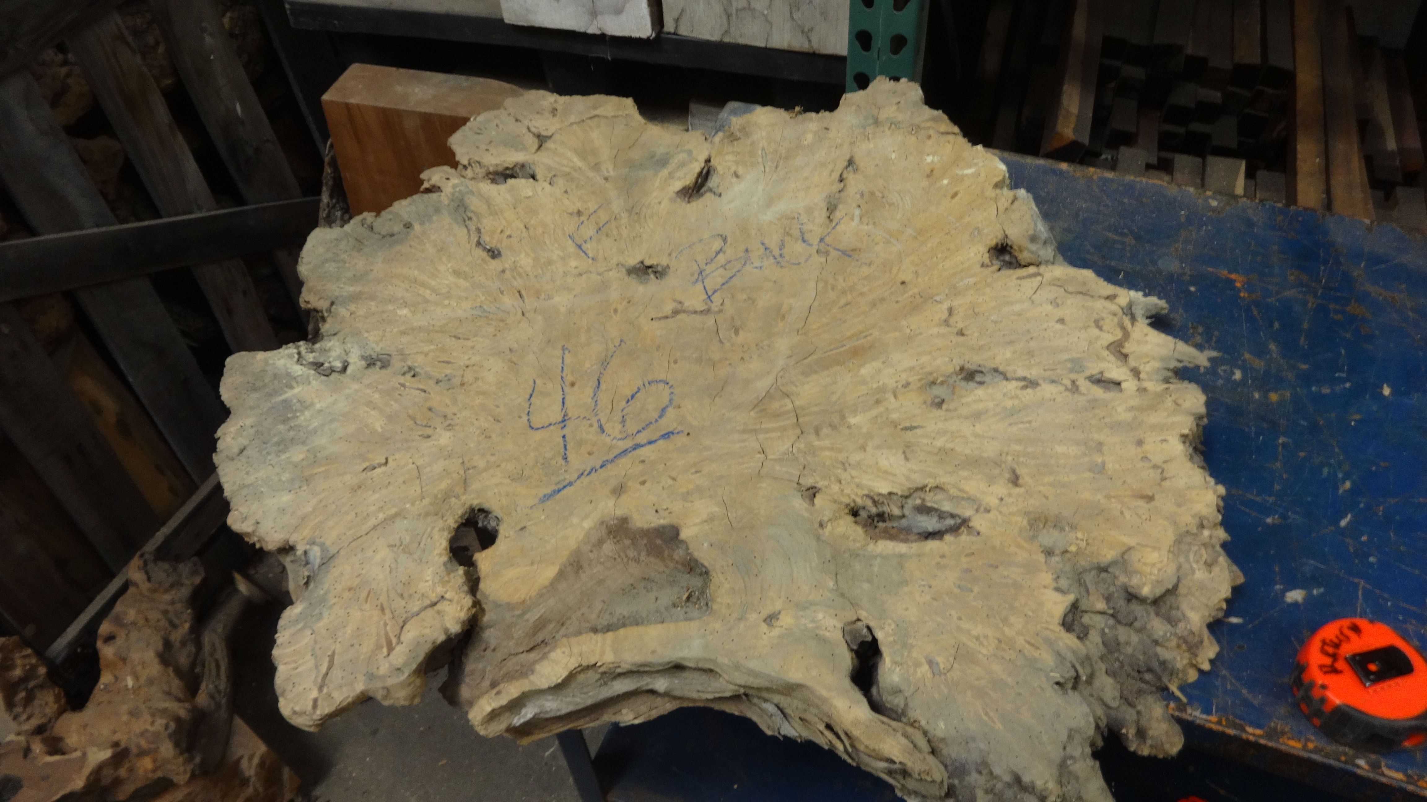 Buckeye Burl #46 | Tropical Exotic Hardwoods