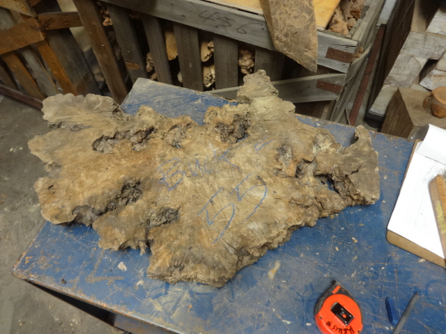 Buckeye Burl #55 | Tropical Exotic Hardwoods