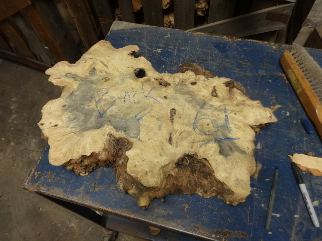 Buckeye Burl #61 | Tropical Exotic Hardwoods