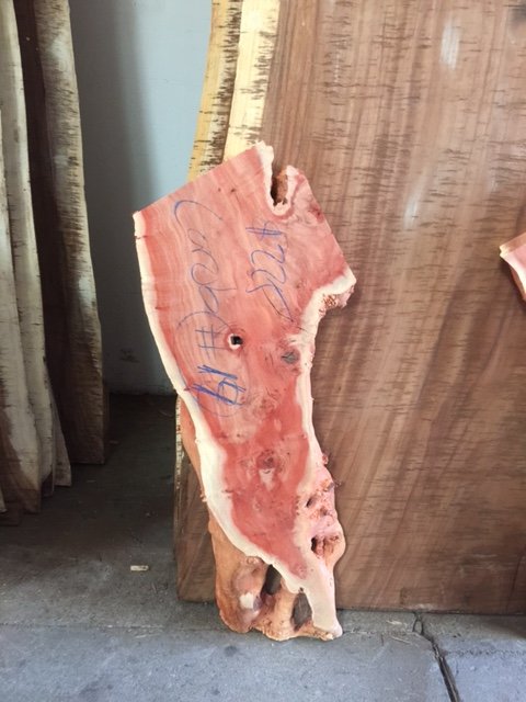 Carob Slab #14 | Tropical Exotic Hardwoods