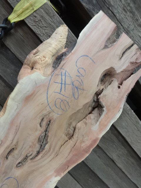 Carob Slab #18 | Tropical Exotic Hardwoods