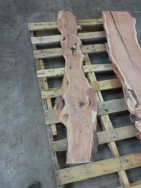 Carob Slab #19 | Tropical Exotic Hardwoods