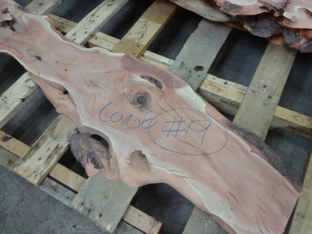 Carob Slab #19 | Tropical Exotic Hardwoods