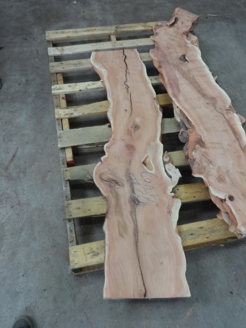 Carob Slab #20 | Tropical Exotic Hardwoods