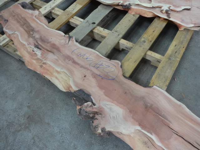 Carob Slab #22 | Tropical Exotic Hardwoods