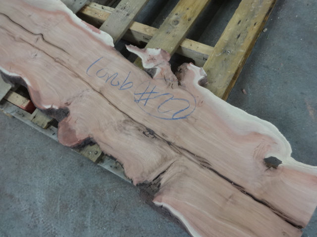 Carob Slab #22 | Tropical Exotic Hardwoods