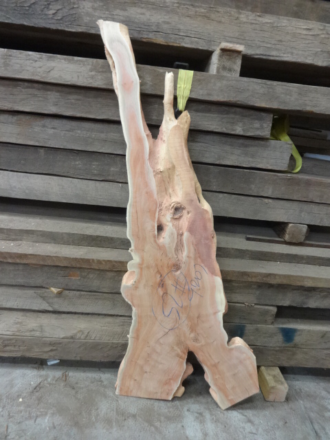 Carob Slab #25 | Tropical Exotic Hardwoods