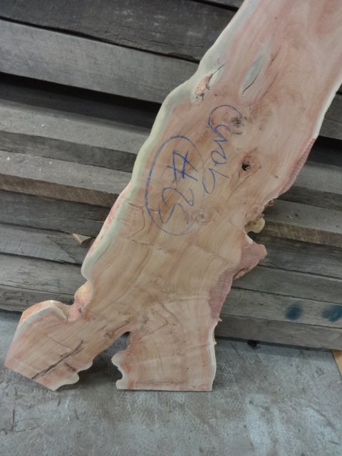 Carob Slab #25 | Tropical Exotic Hardwoods