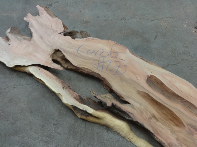 Carob Slab #27 | Tropical Exotic Hardwoods