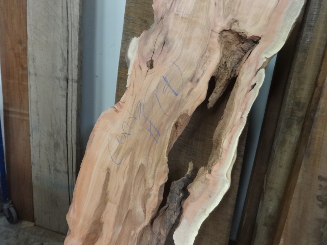 Carob Slab #27 | Tropical Exotic Hardwoods