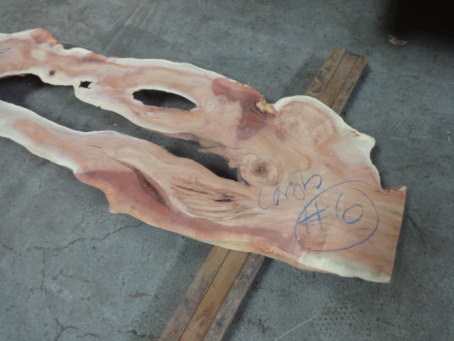 Carob Slab #6 | Tropical Exotic Hardwoods