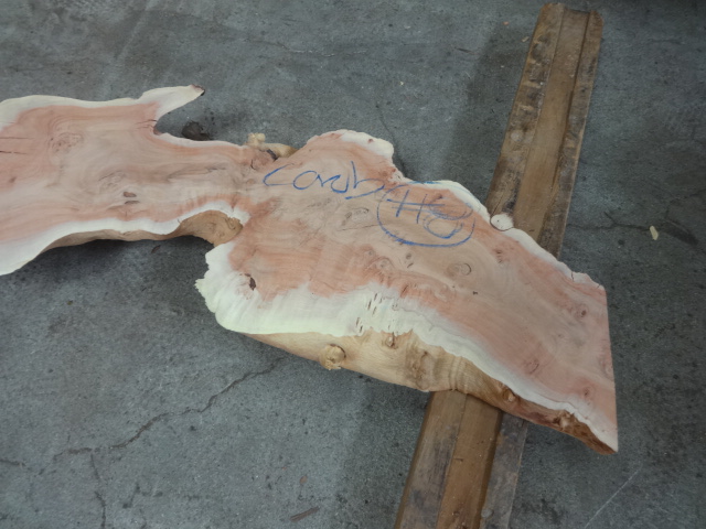 Carob Slab #8 | Tropical Exotic Hardwoods