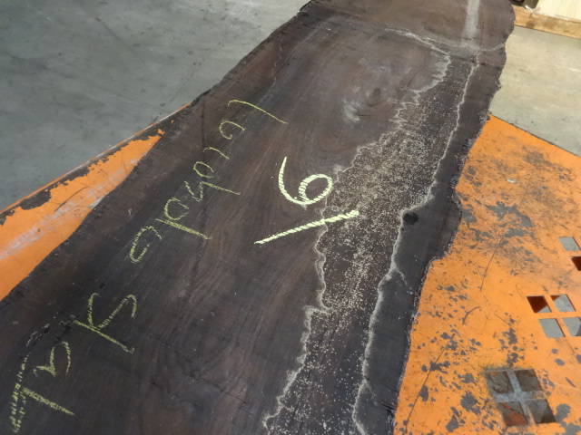 Cocobolo Slab #6 | Tropical Exotic Hardwoods