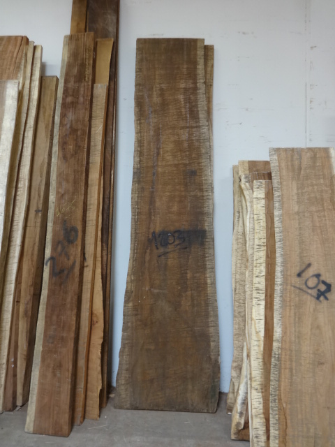 Parota Slab #1203 Live Edge | Tropical Exotic Hardwoods