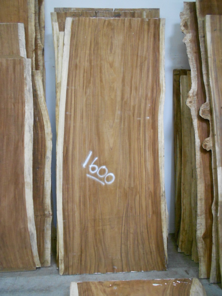 Parota Slab #1600 Live Edge | Tropical Exotic Hardwoods
