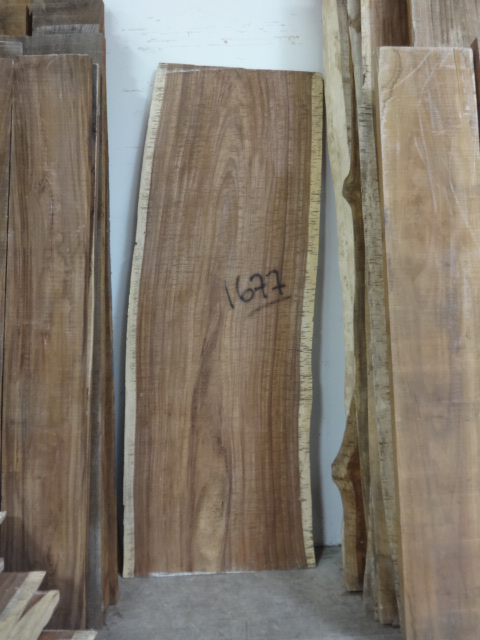 Parota Slab #1677 Live Edge | Tropical Exotic Hardwoods