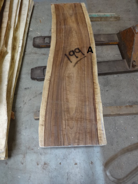 Parota Slab #199A Live Edge | Tropical Exotic Hardwoods