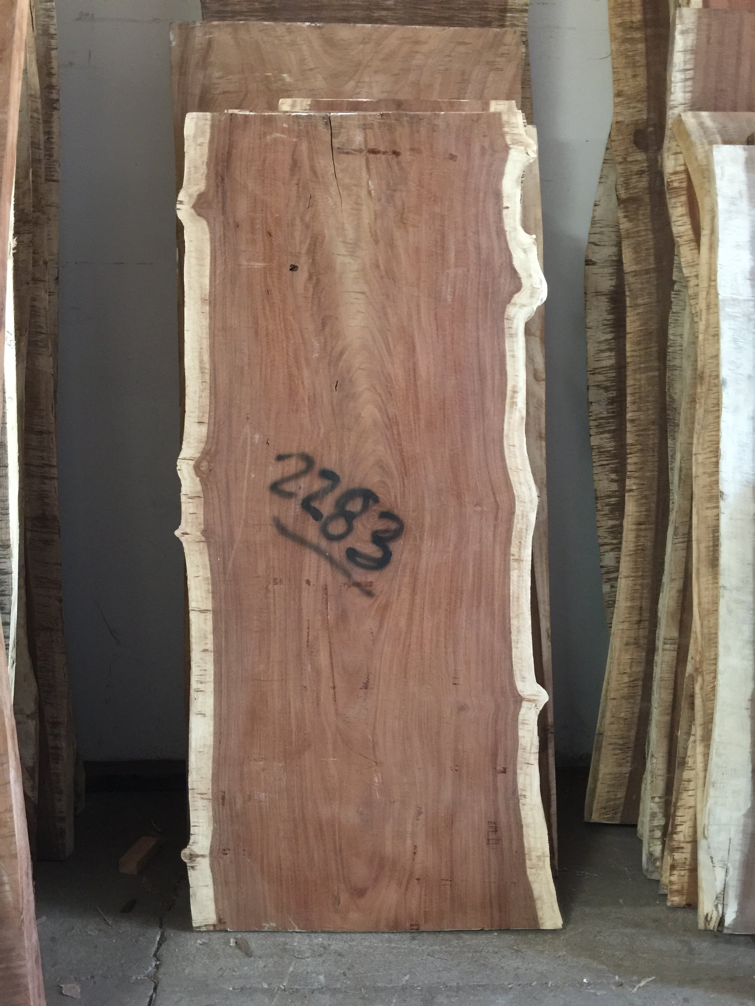 Parota Slab #2283 Live Edge | Tropical Exotic Hardwoods