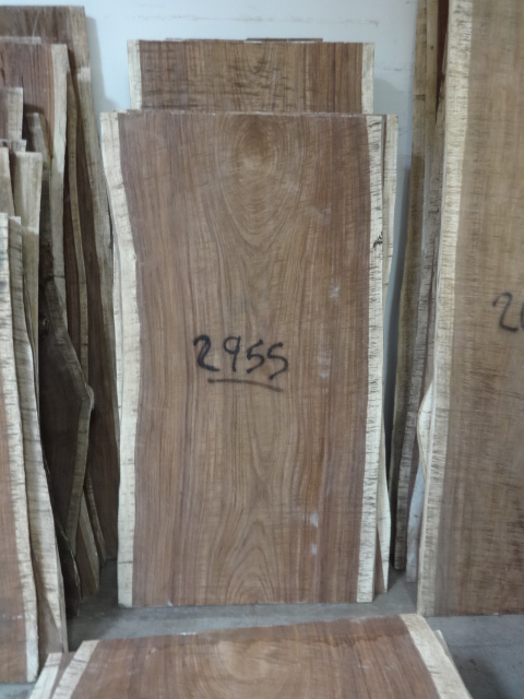 Parota Slab #2955 Live Edge | Tropical Exotic Hardwoods