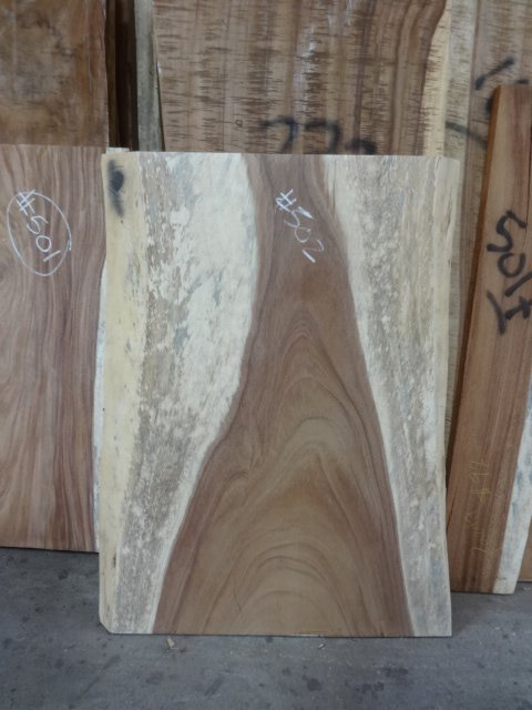 Parota Slab #502 Live Edge | Tropical Exotic Hardwoods