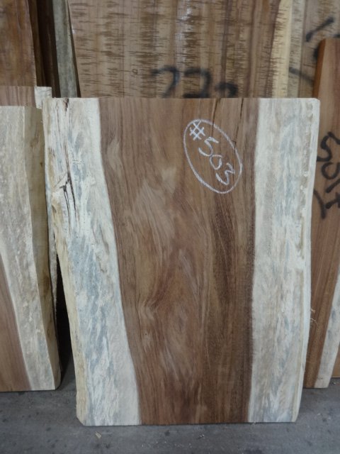 Parota Slab #503 Live Edge | Tropical Exotic Hardwoods
