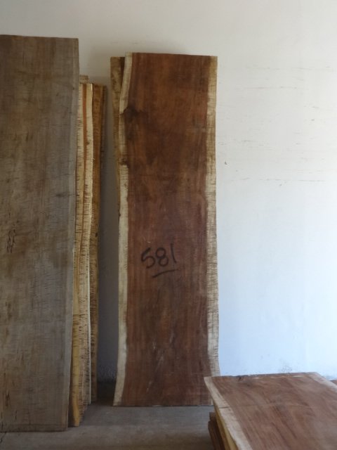 Parota Slab #581 Live Edge | Tropical Exotic Hardwoods