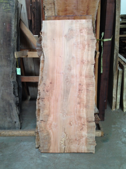 Tasmanian Rose Myrtle Slab #11 | Tropical Exotic Hardwoods