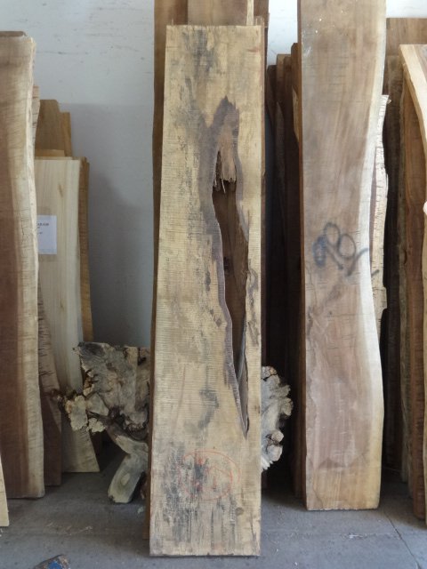 Spalted Tamarind Slab #5 | Tropical Exotic Hardwoods