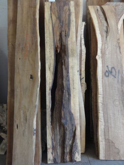 Spalted Tamarind Slab #5 | Tropical Exotic Hardwoods