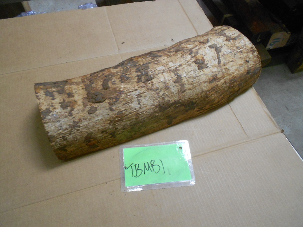 Masur Birch Bowl Blank TBMB1 | Tropical Exotic Hardwoods