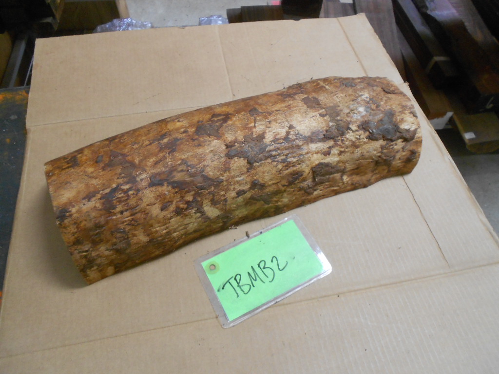 Masur Birch Bowl Blank TBMB2 | Tropical Exotic Hardwoods