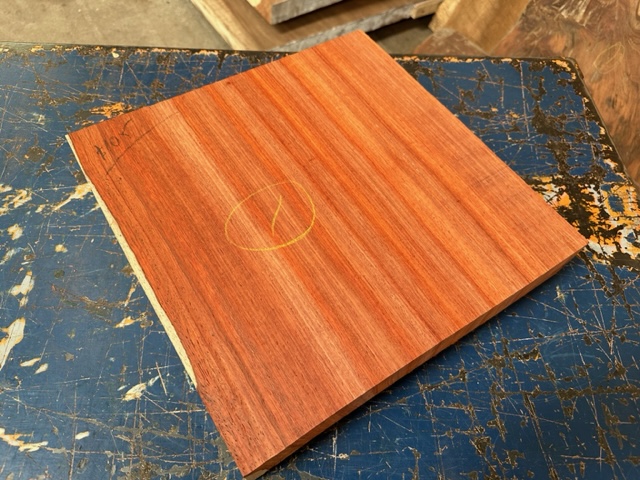 Padauk (Padouk) Bowl Blank TBPAD1 | Tropical Exotic Hardwoods