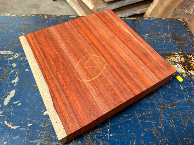 Padauk (Padouk) Bowl Blank TBPAD5 | Tropical Exotic Hardwoods